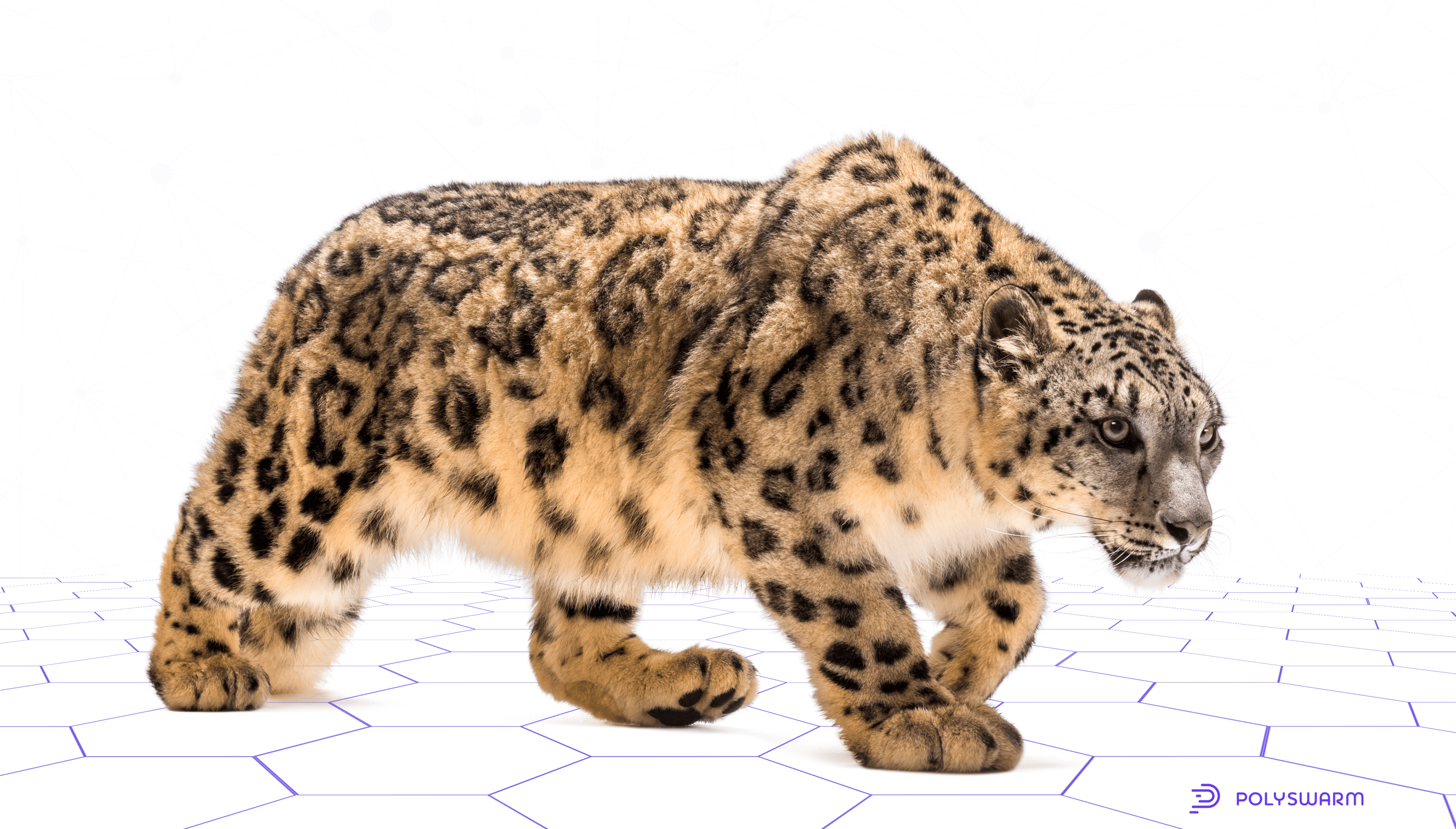 Mythic Leopard Uses CapraRAT to Target Indian Government Officials