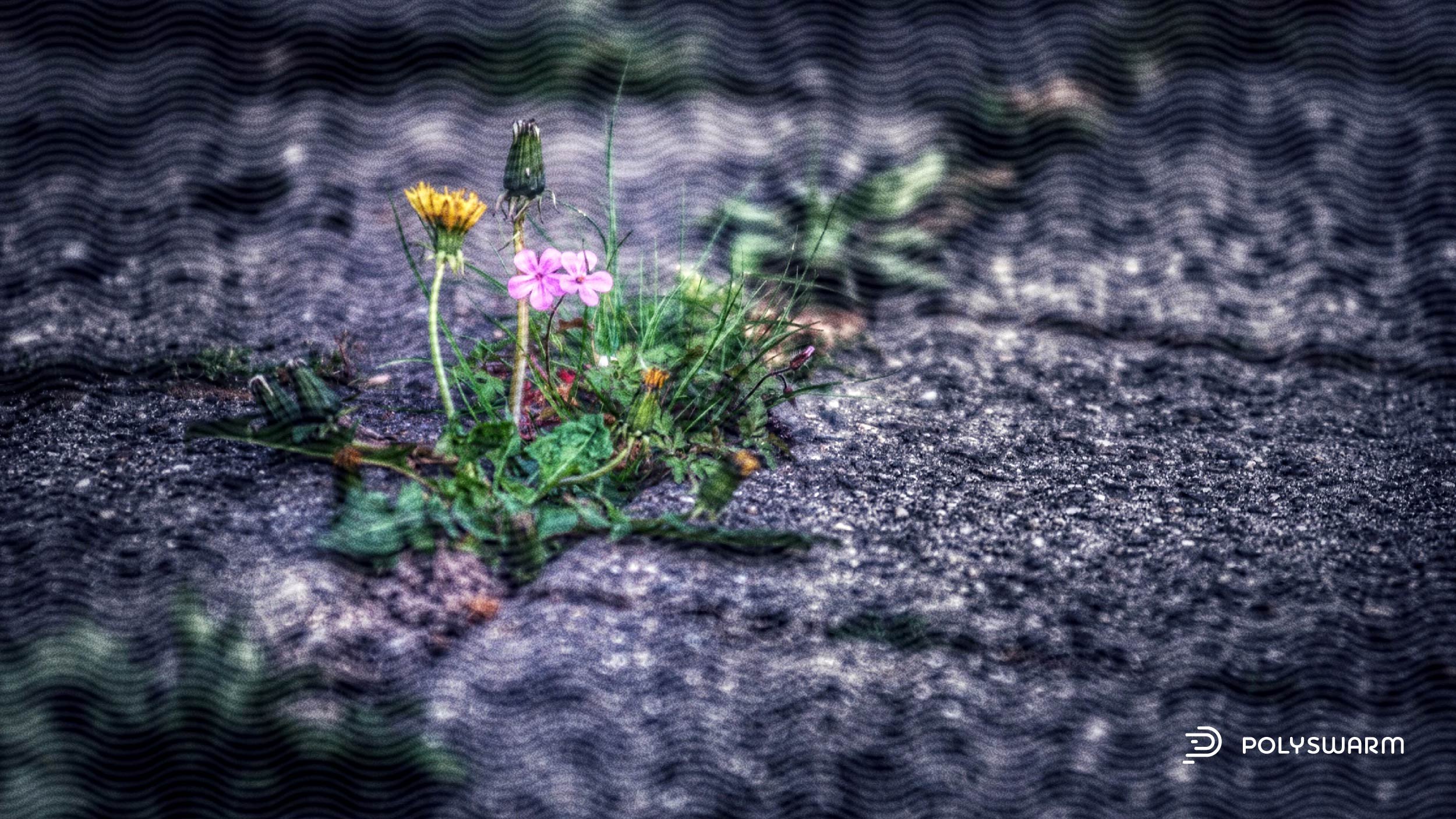 SideWalk Linux Variant